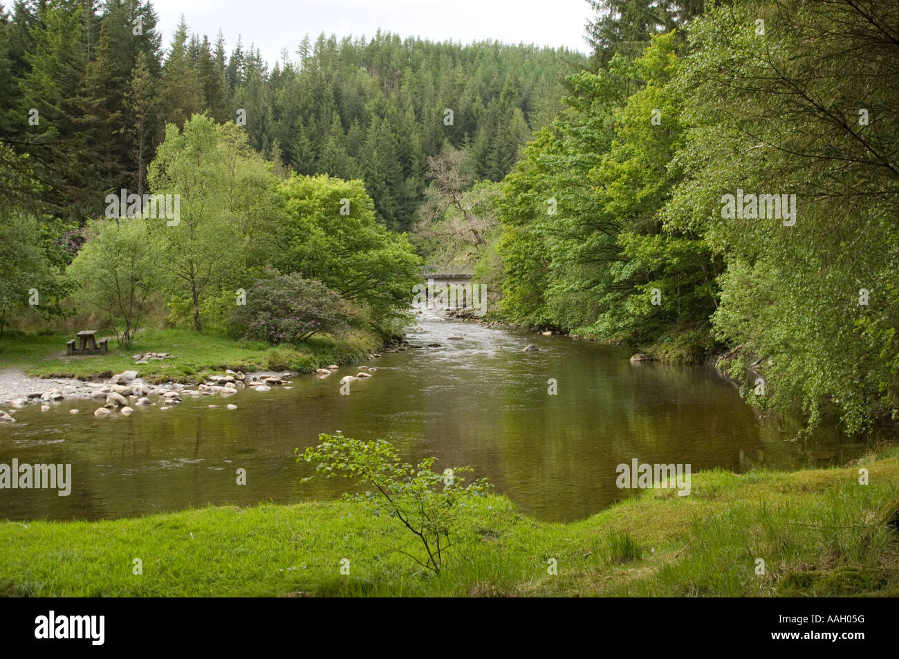 The river Ystwyth flowing through deciduous woodland in the Hafod ...