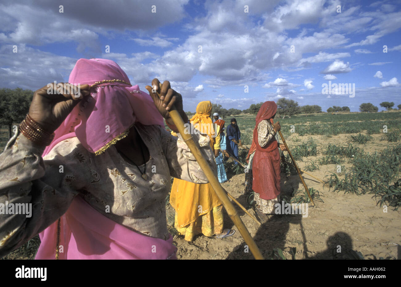 Bishnoi tribes hi-res stock photography and images - Alamy