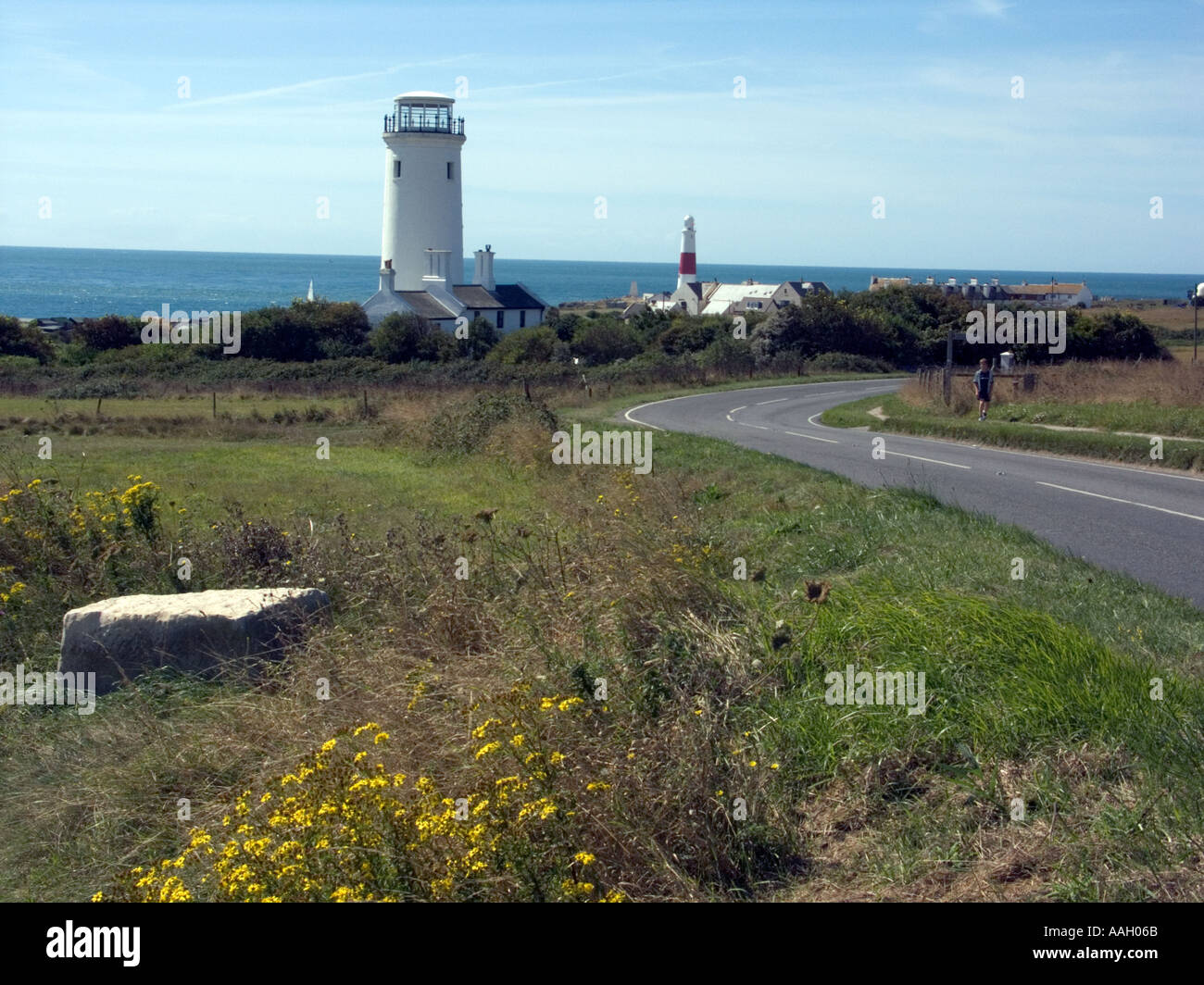 Portland bird observatory hi-res stock photography and images - Alamy