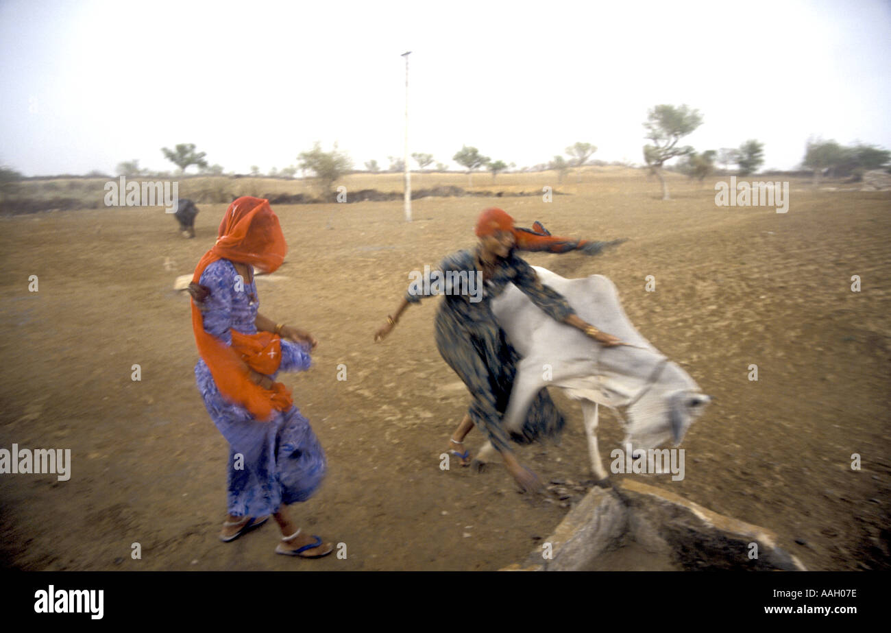 Bishnoi tribes hi-res stock photography and images - Alamy