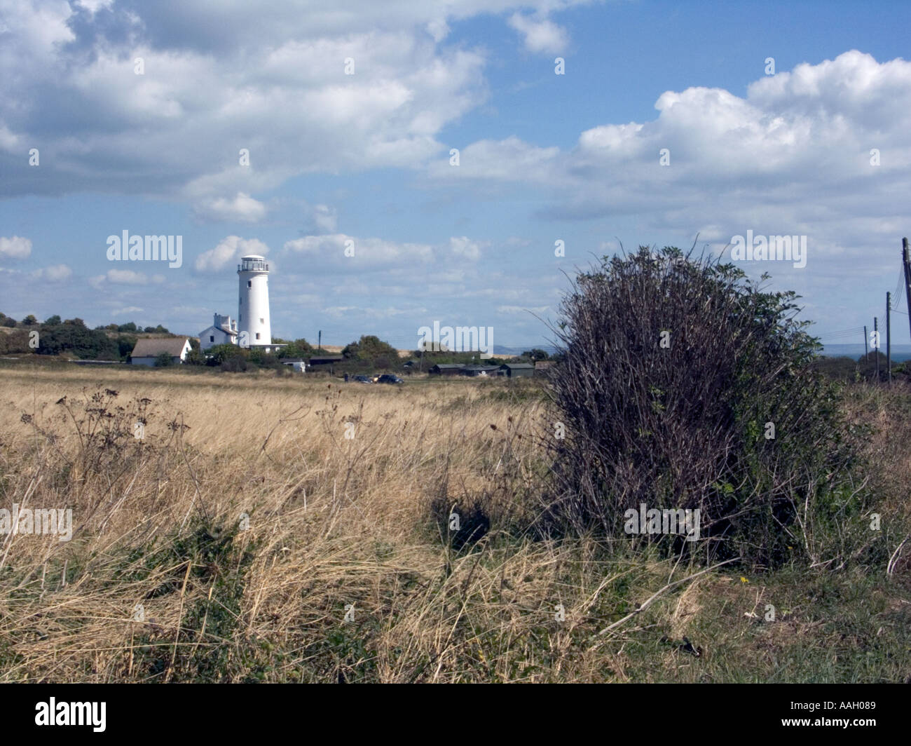 Portland, Bill, bird, observatory, field, centre, ornithology, old ...