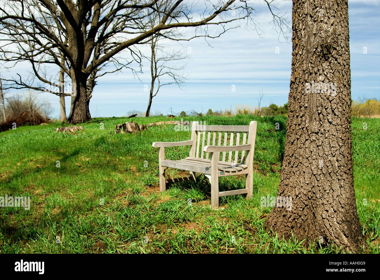 Oak furniture land hi-res stock photography and images - Alamy