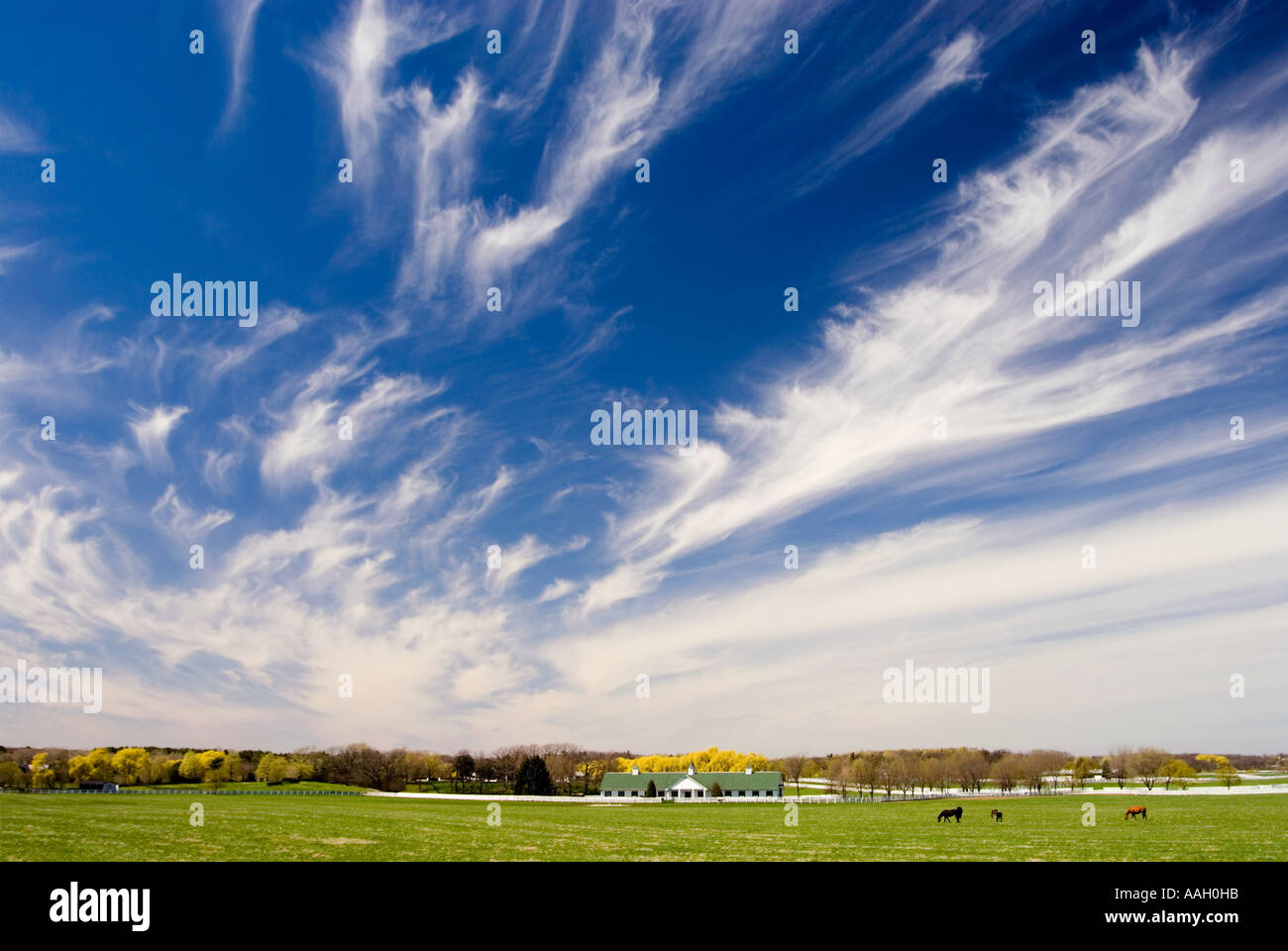 Spring time Farm Stock Photo - Alamy