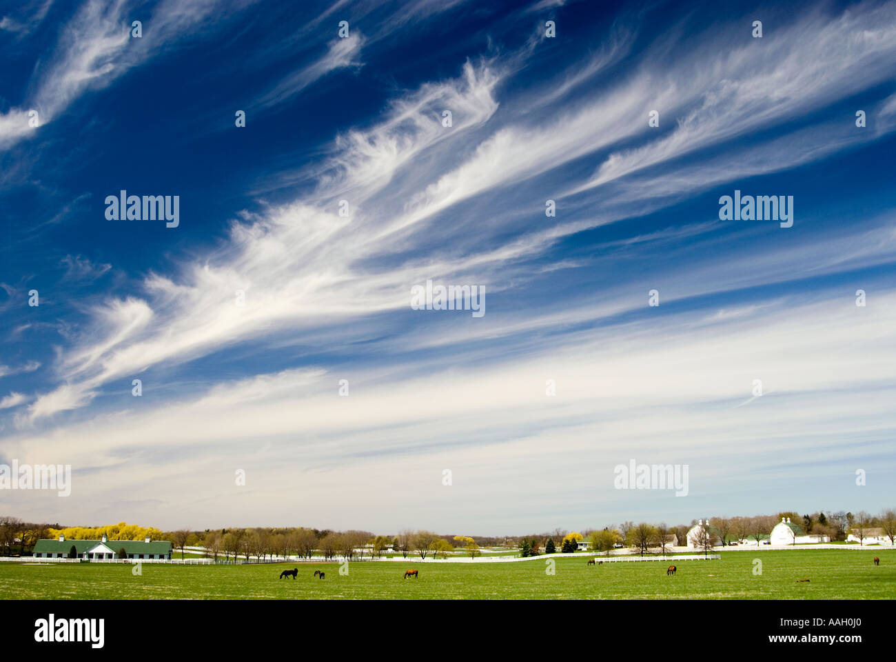Spring Horse Farm 2 Stock Photo - Alamy