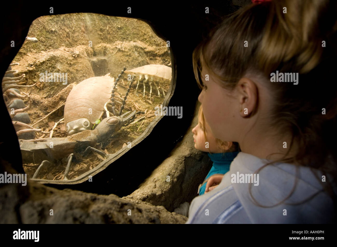 Centre Alternative Technology Machynlleth High Resolution Stock ...