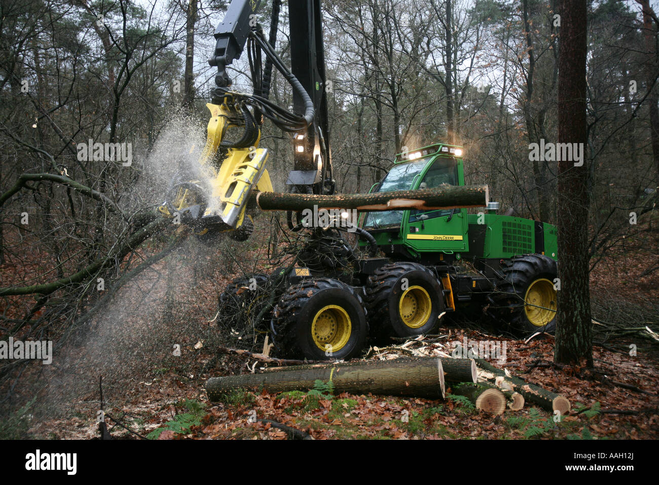 Responsible forestry hi-res stock photography and images - Alamy