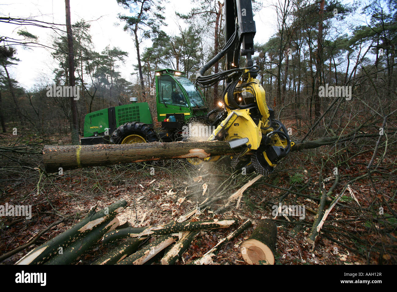 Responsible forestry hi-res stock photography and images - Alamy