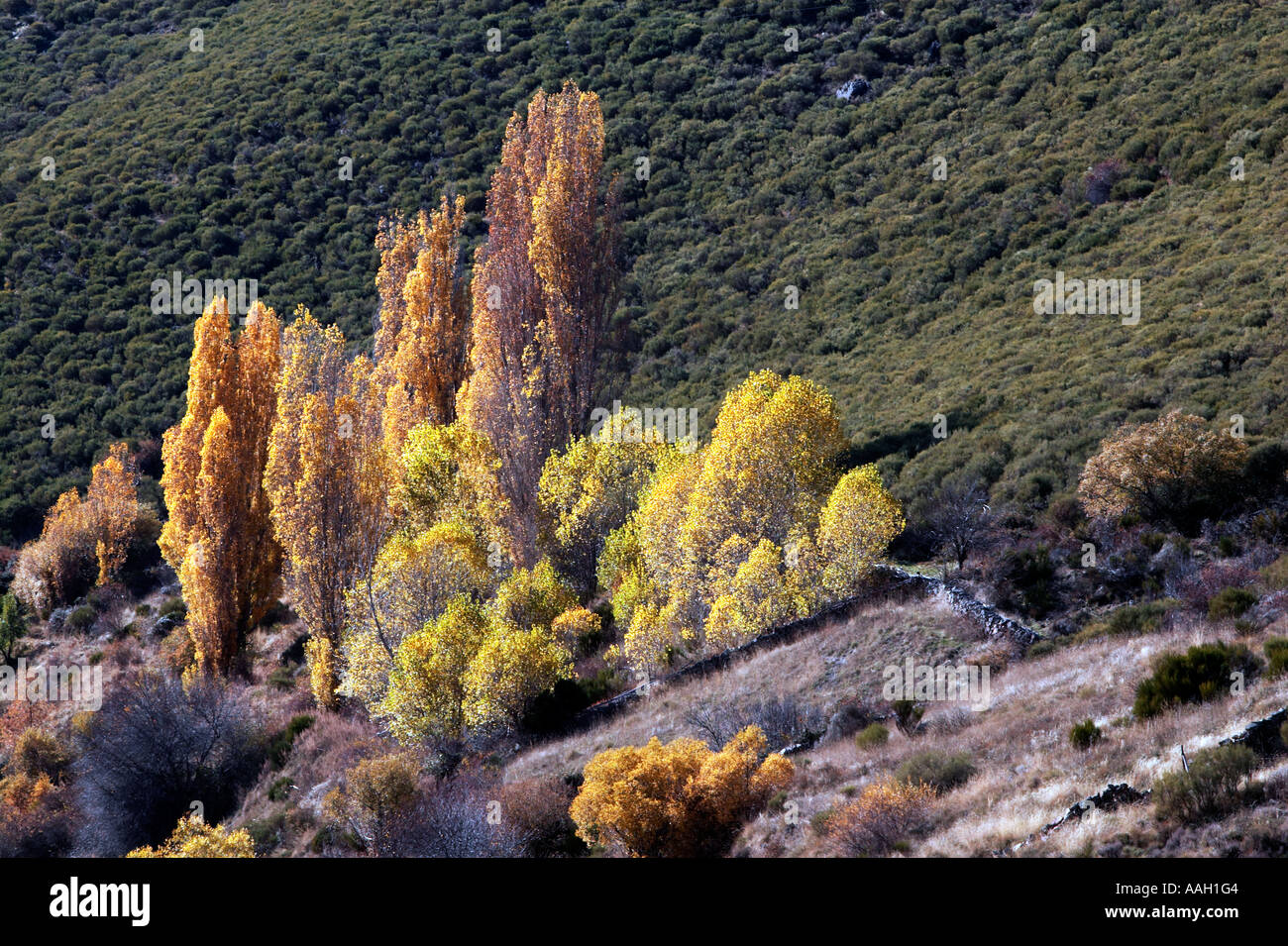 Cuenca alta hi-res stock photography and images - Alamy
