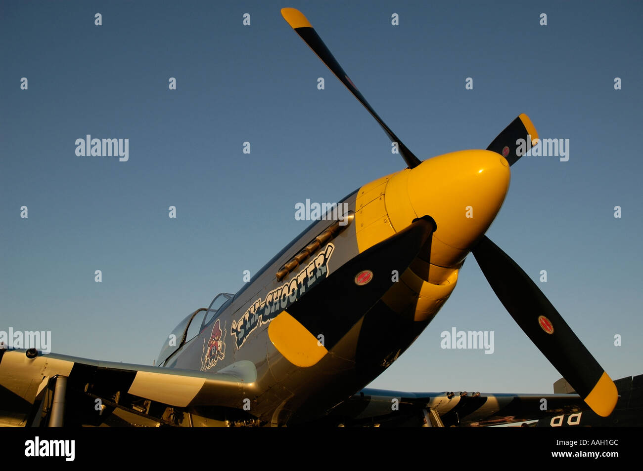 View of the Propeller looking up at the nose of a P-51 Mustang Stock ...