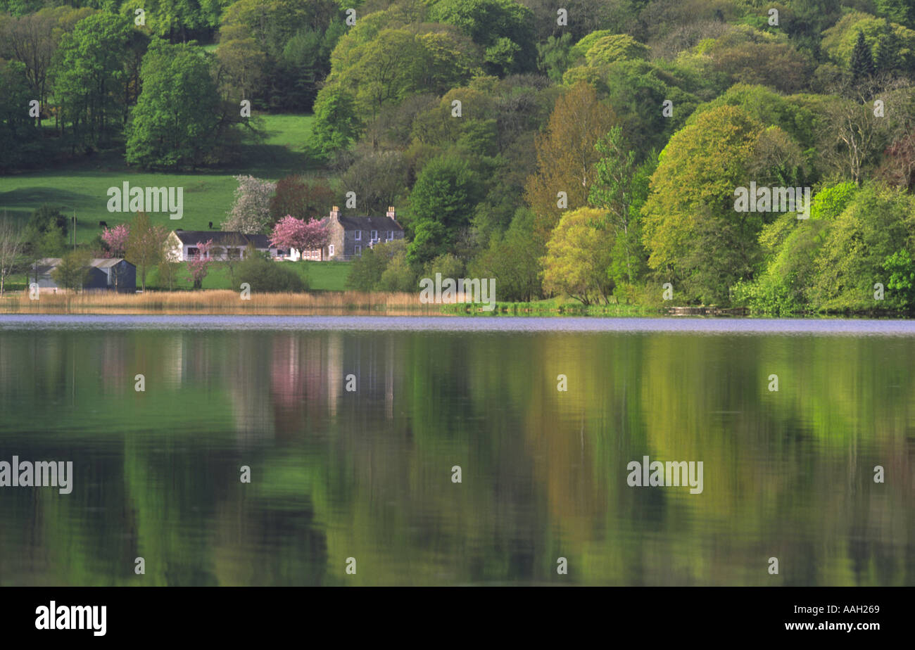 Carlingwark Loch Castle Douglas looking across loch to Threave Gardens ...