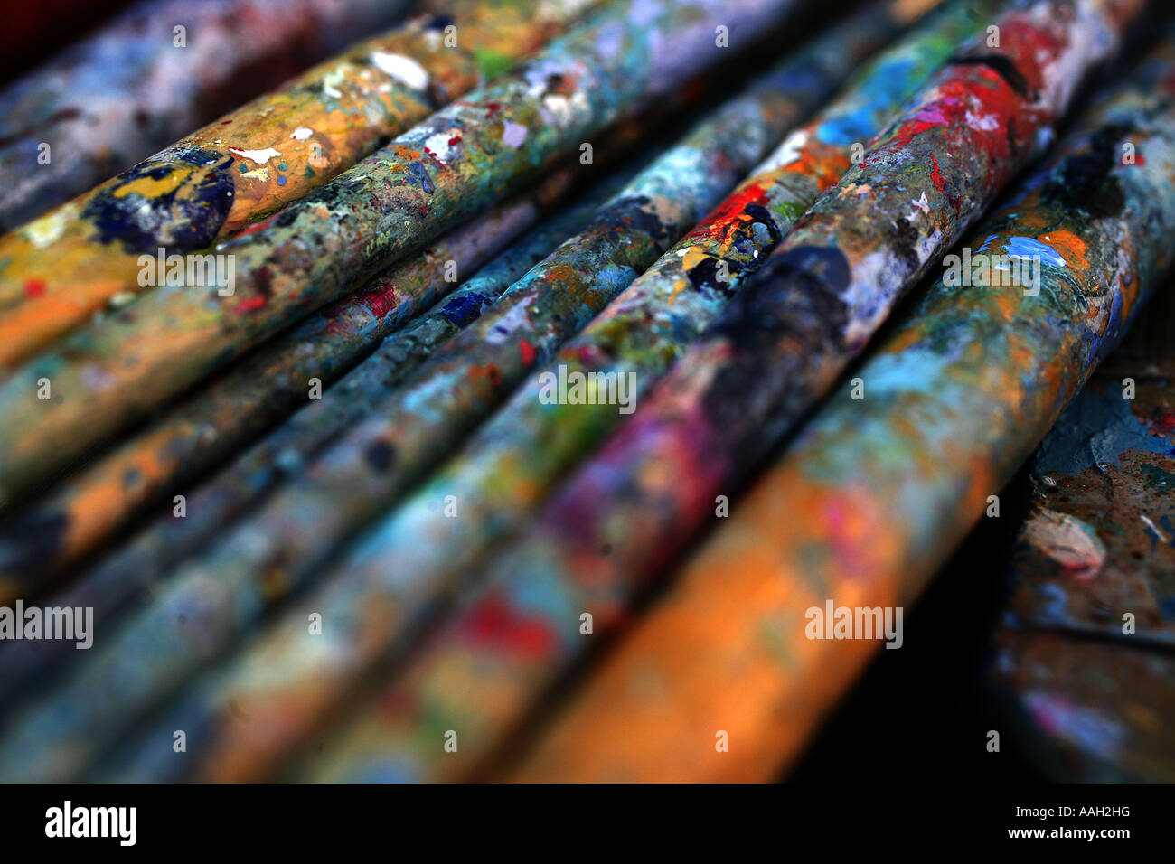 Ciska van de Meer is a famous painter in Holland editorial use only no ...