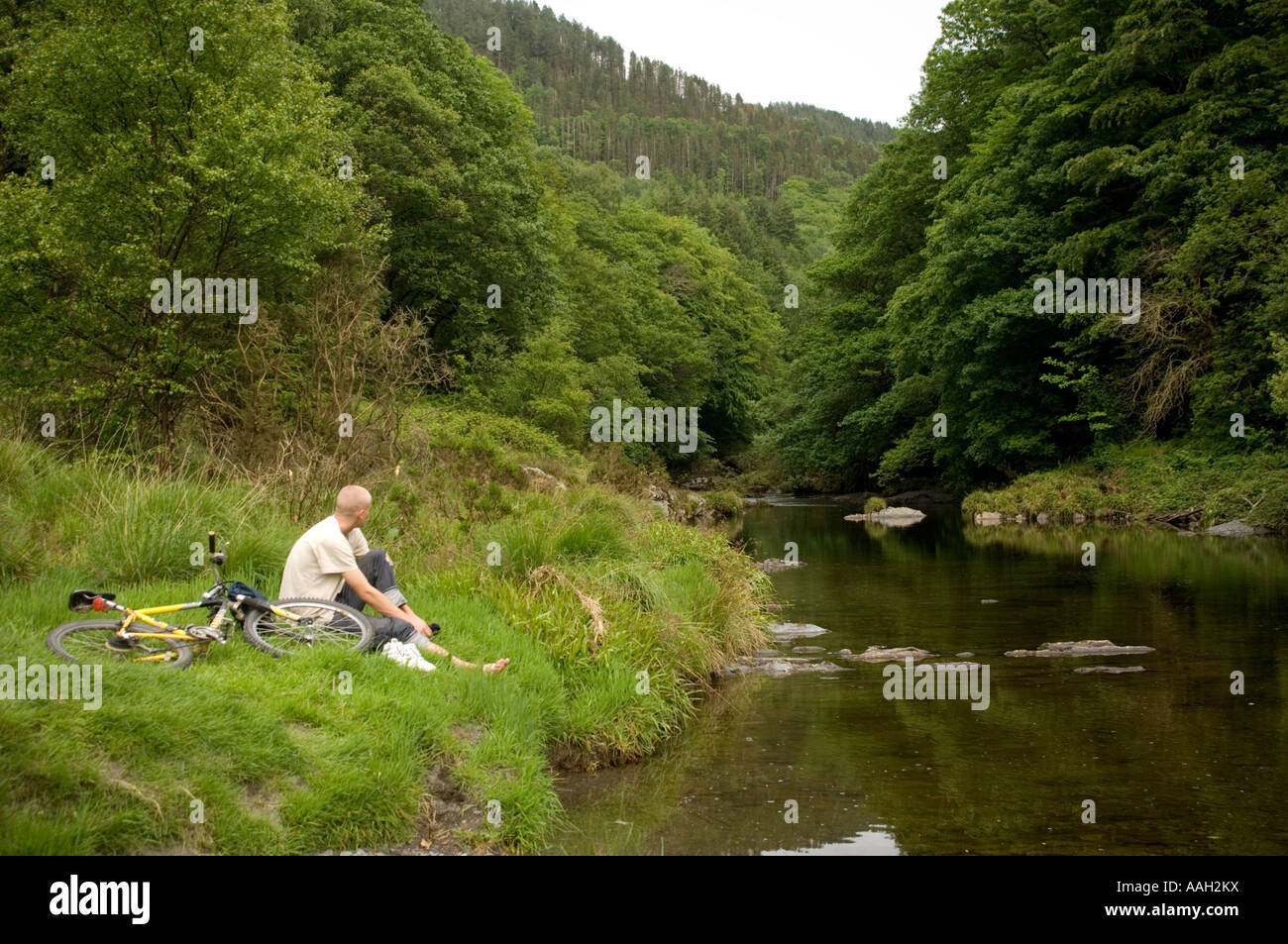 man sitting alone by the River Rheidol in remote rural mid wales ...