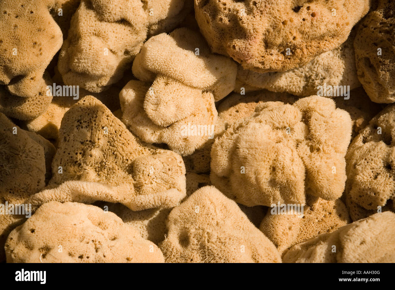 Sponge Simi Symi Island Greece Stock Photo - Alamy