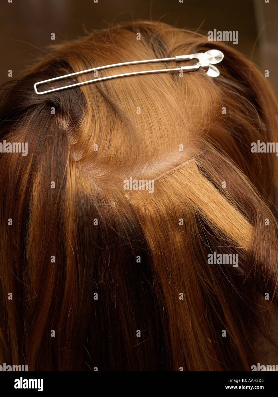 Extension head hi-res stock photography and images - Alamy