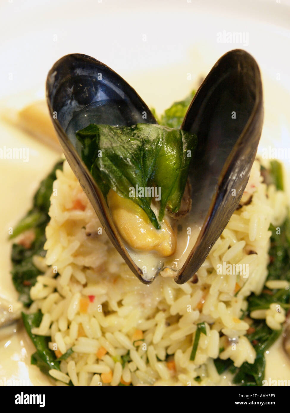 I love mussels heart shaped mussel in shell with spinach on a bed of ...