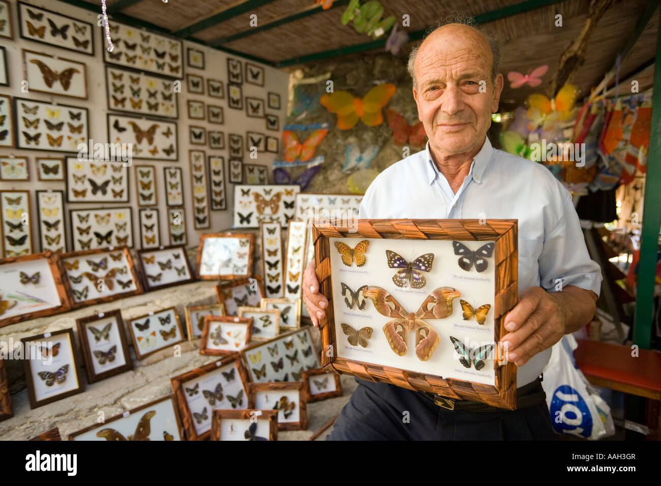 Man showing butterflies collection Petaloudes Valley of the Butterflies ...