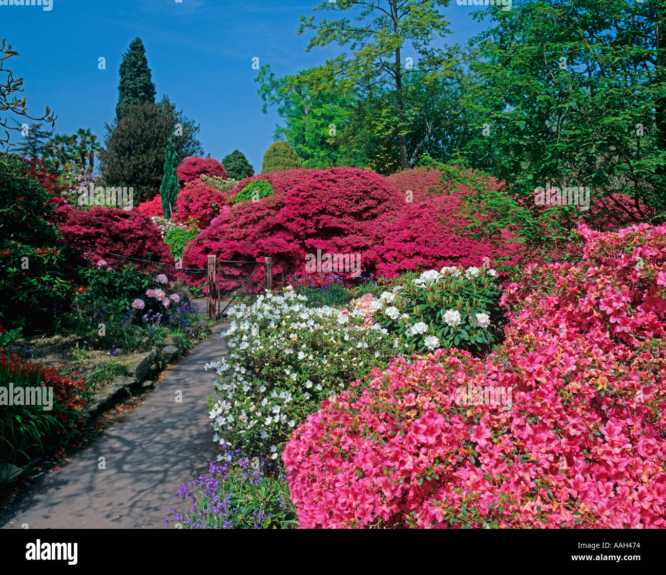 Leonardslee Gardens Sussex Stock Photo - Alamy