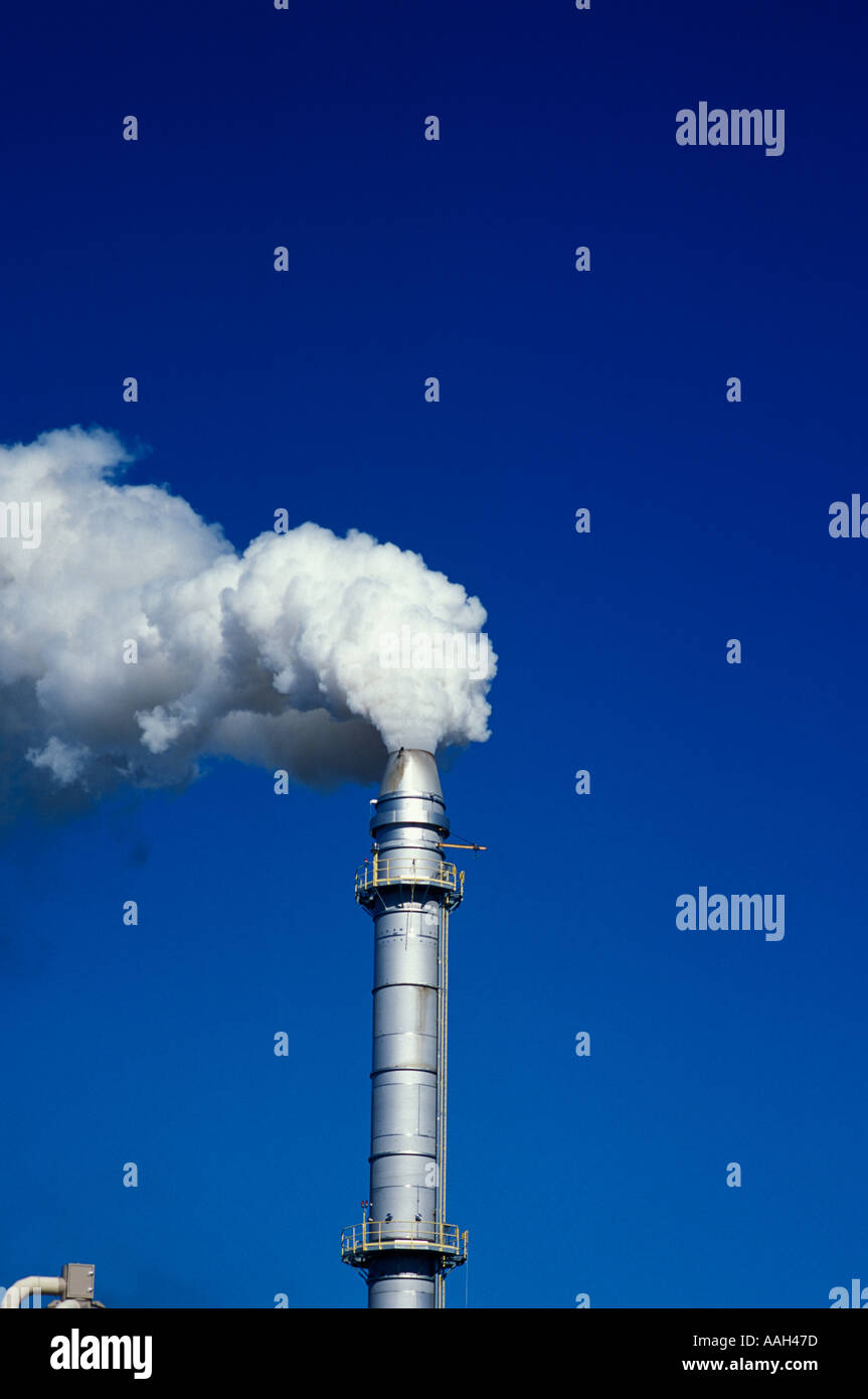 Steam escaping from smokestack at a pulp mill in Miramichi New ...