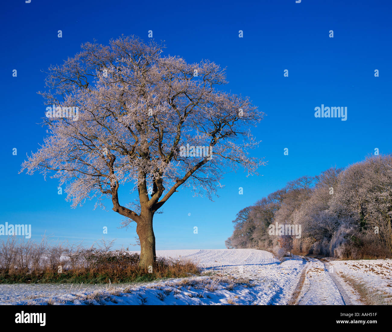 Uk village in winter snow hi-res stock photography and images - Alamy