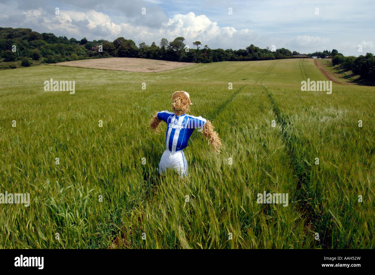 A scarecrow dressed in Brighton and Hove Albion Football Club strip on ...