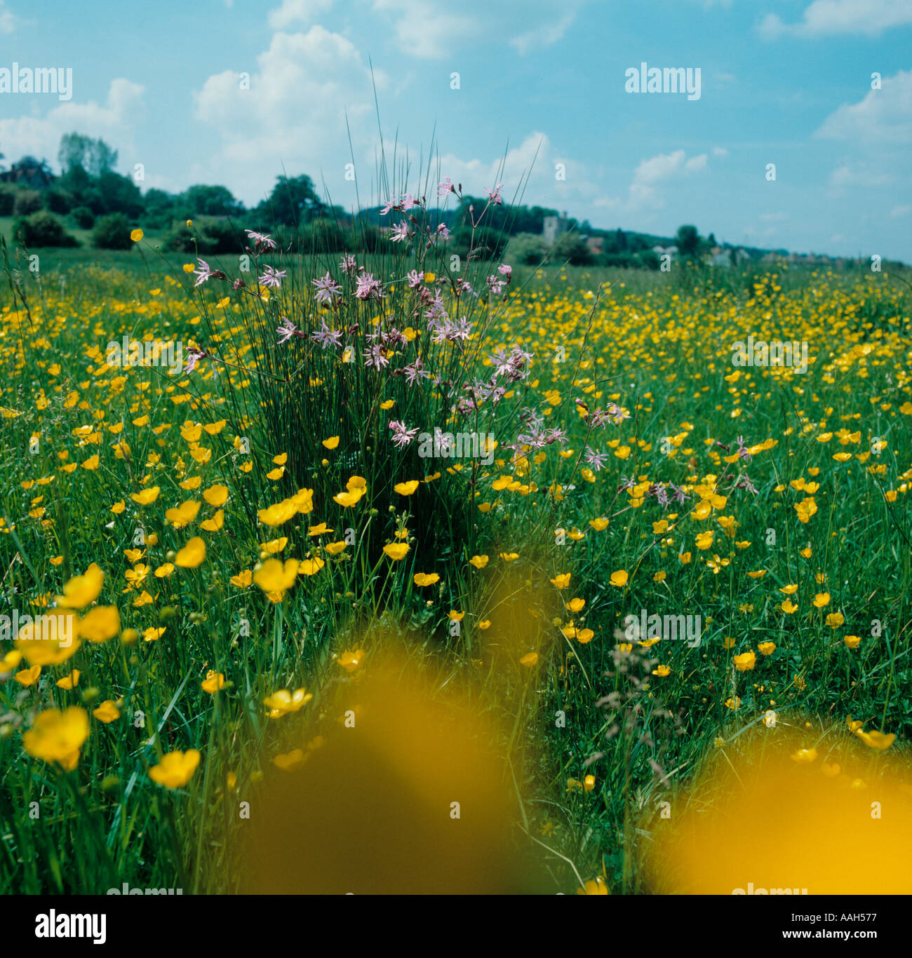 Gade valley hi-res stock photography and images - Alamy