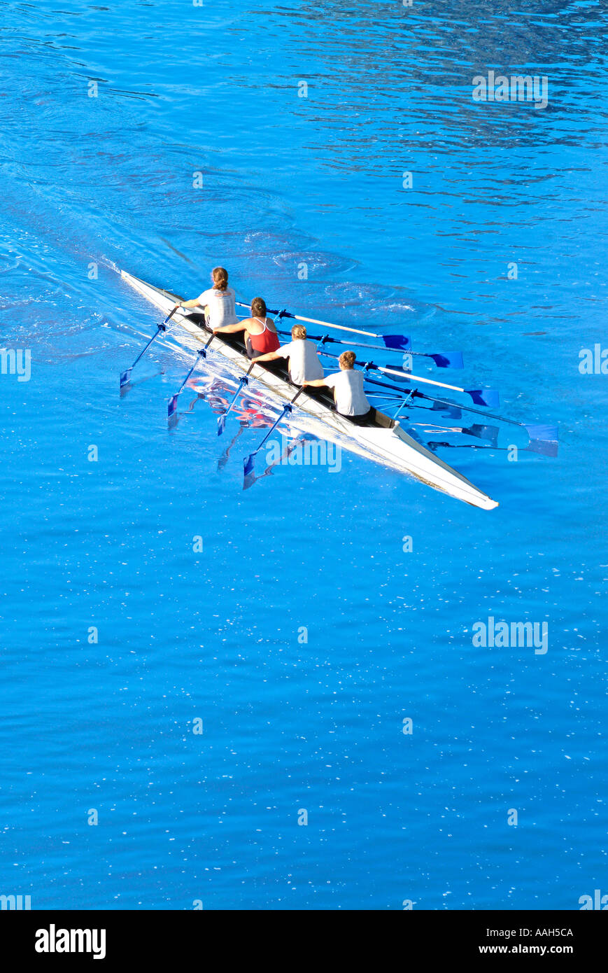 Four crew rowers in boat hi-res stock photography and images - Alamy