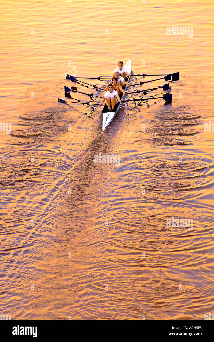 four person Rowing team in boat Stock Photo - Alamy