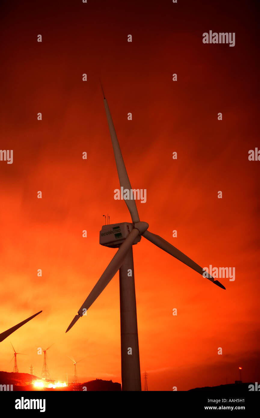 Dusk view of the first windmill energy field ever installed in Spain ...