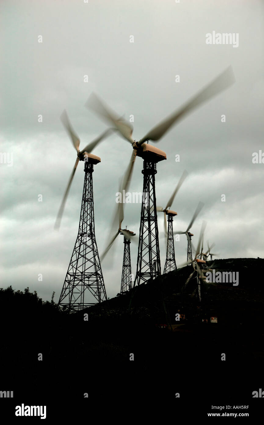 Dusk view of the first windmill energy field ever installed in Spain ...
