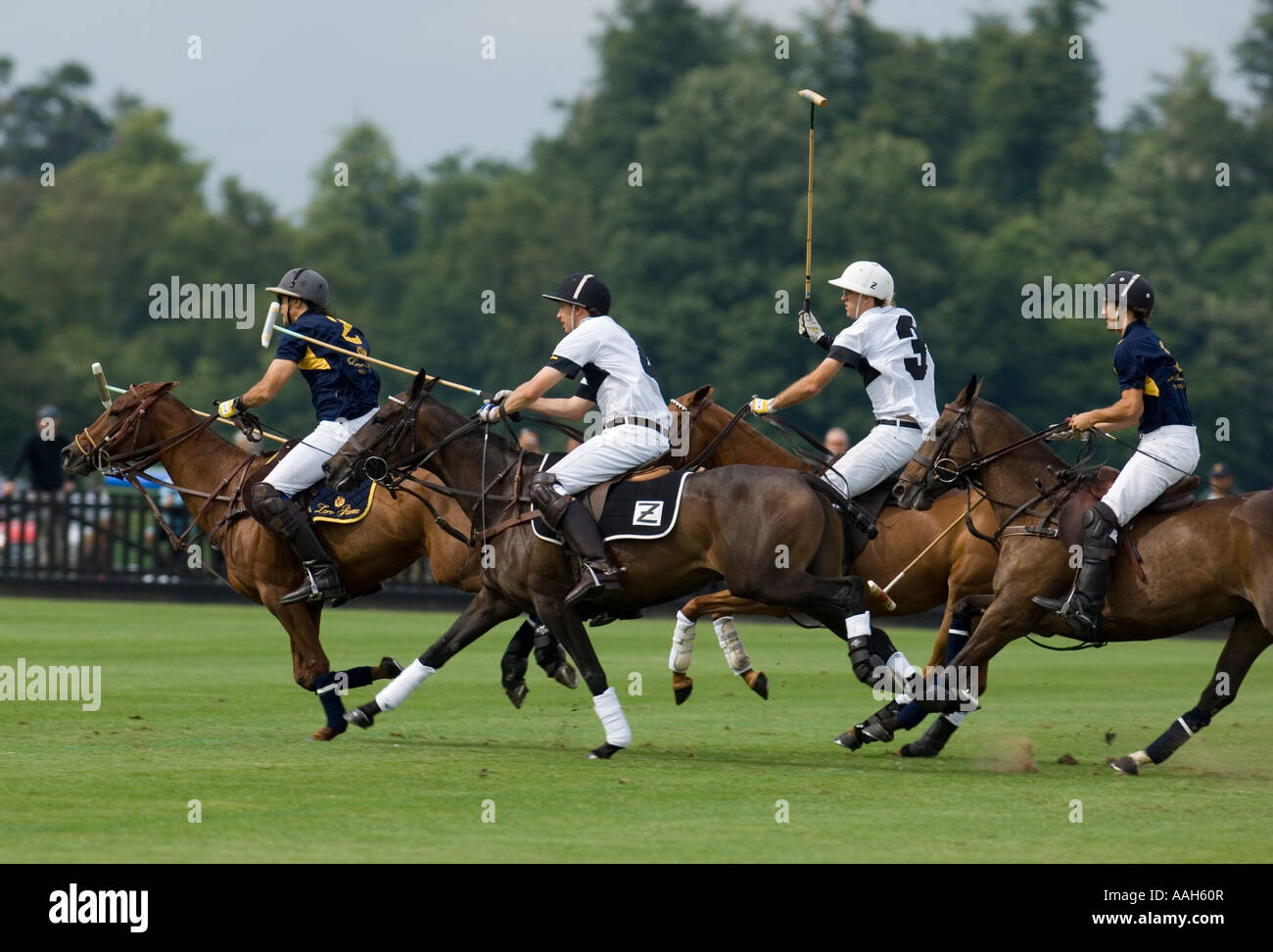 Polo game hi-res stock photography and images - Alamy