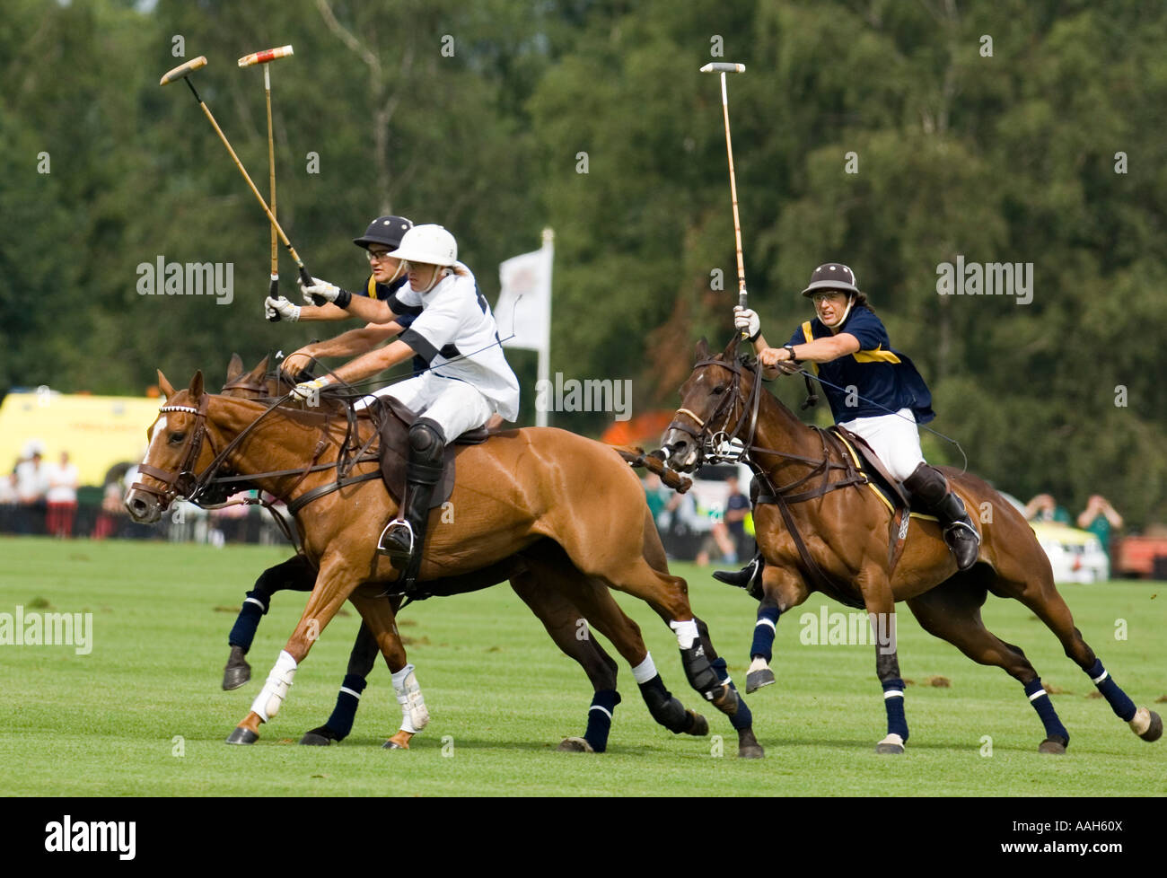 Polo game hi-res stock photography and images - Alamy