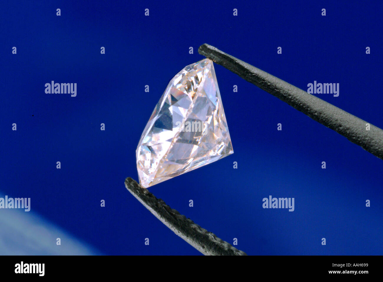 Cut loose hi-res stock photography and images - Alamy