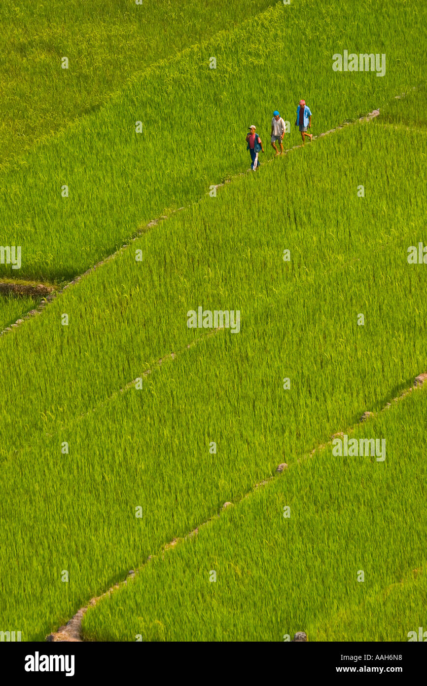 Cebu walking tour hi-res stock photography and images - Alamy