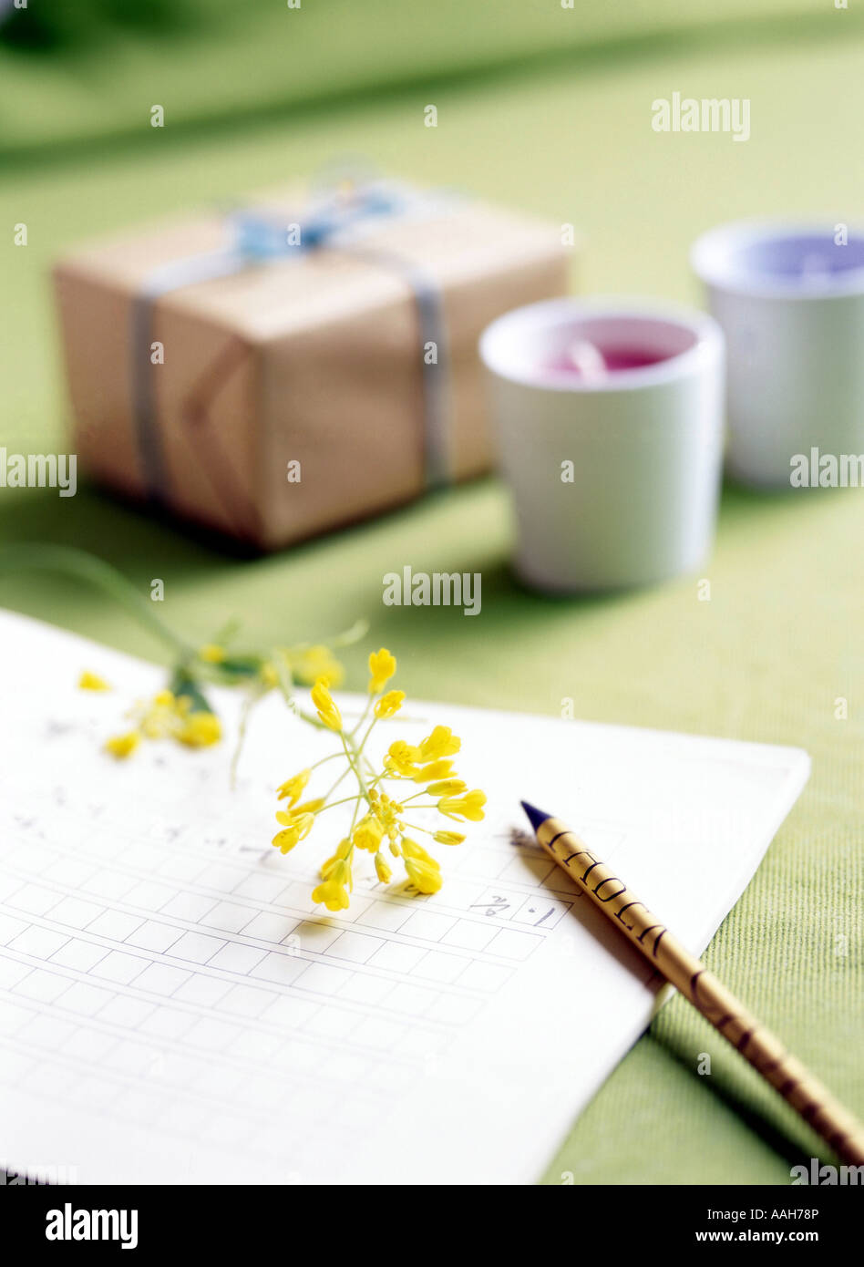 Flower, manuscript paper and pencil Stock Photo - Alamy