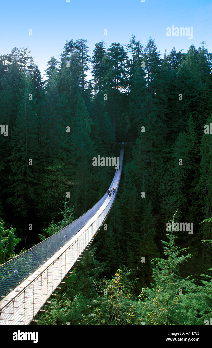 Capilano Suspension Bridge Vancouver British Columbia Canada Stock ...