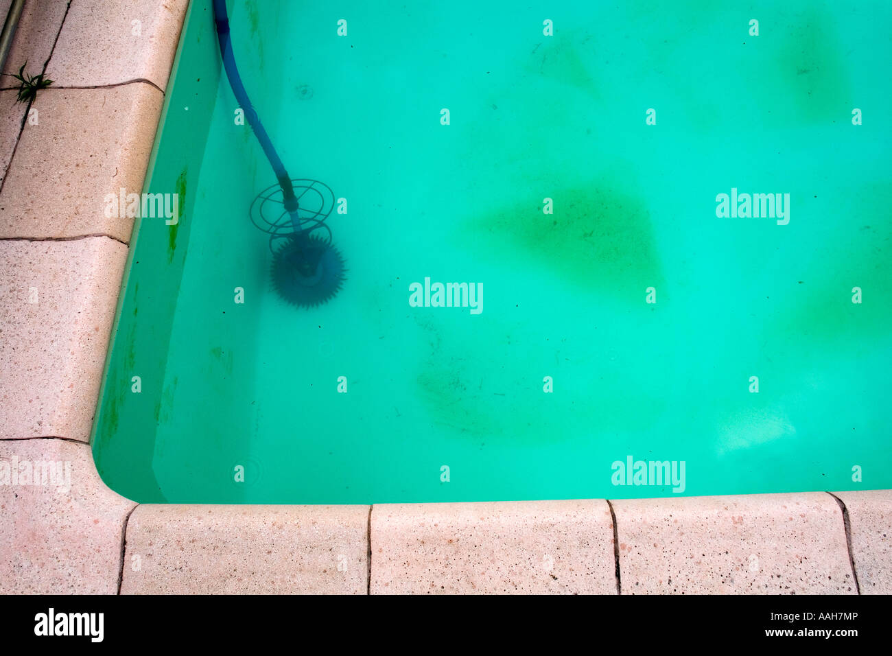 Dirty Swimming pool Stock Photo - Alamy