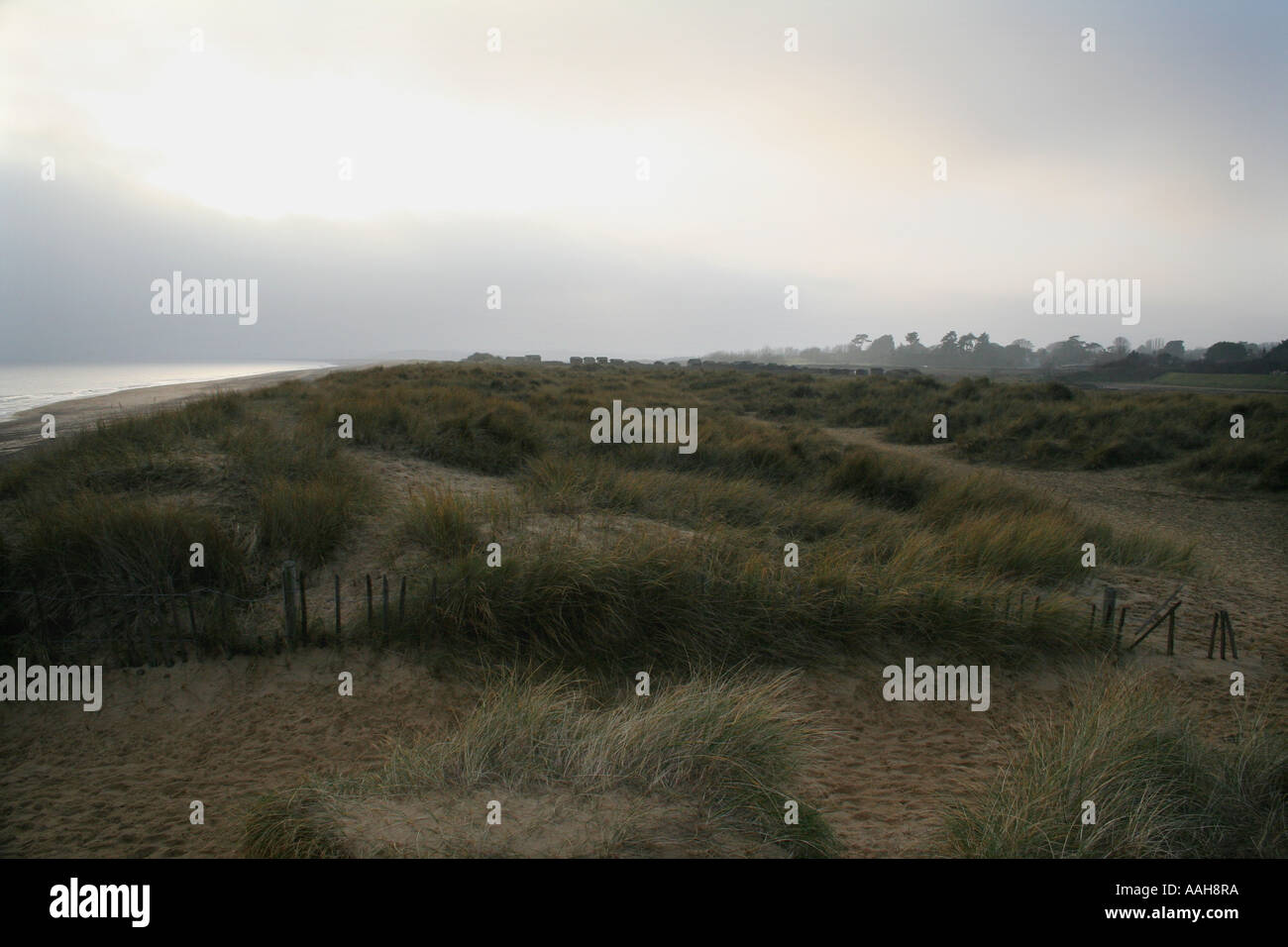 Sand Dunes on a misty day at Walberswick, Suffolk England Stock Photo ...
