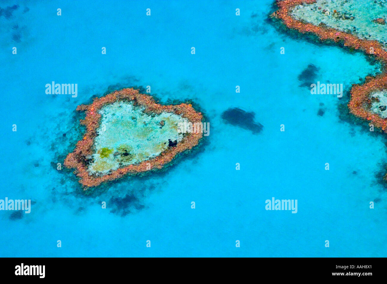 An aerial view of the beautiful Heart Reef Stock Photo - Alamy