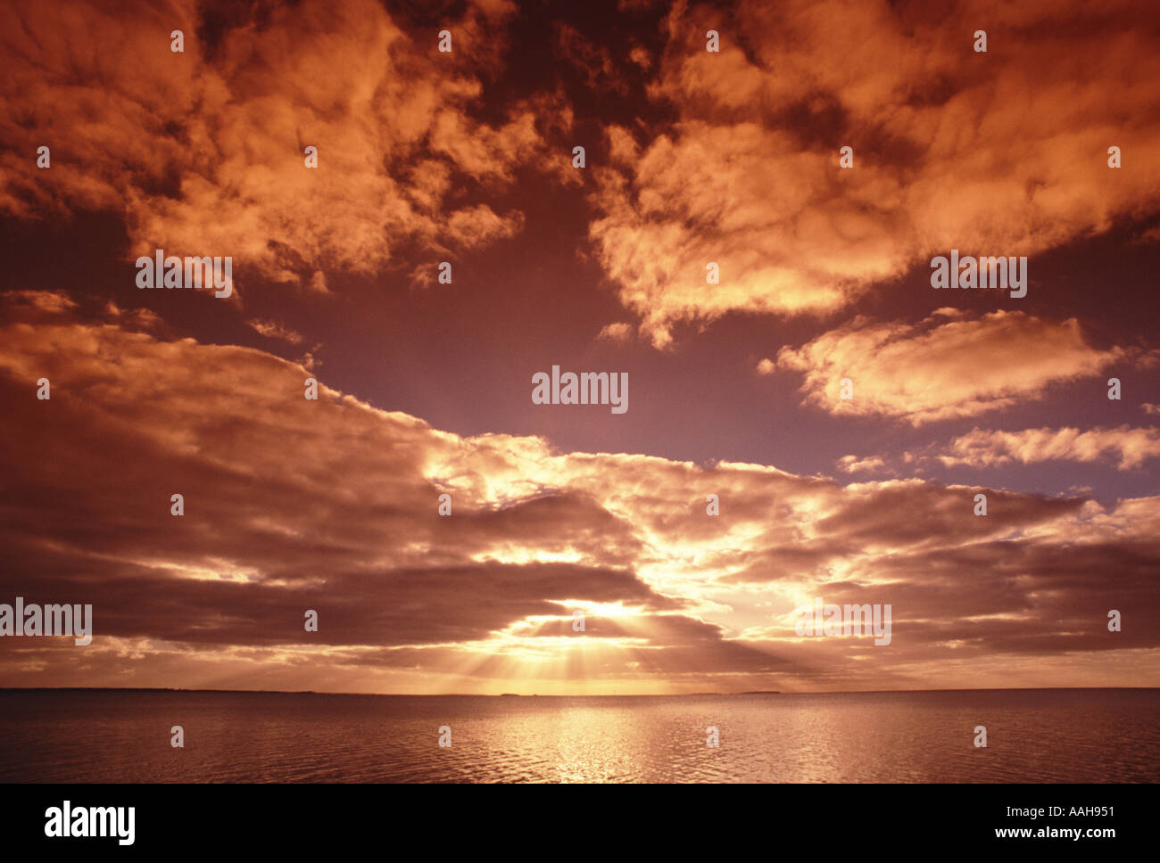 Nuku alofa tonga hi-res stock photography and images - Alamy