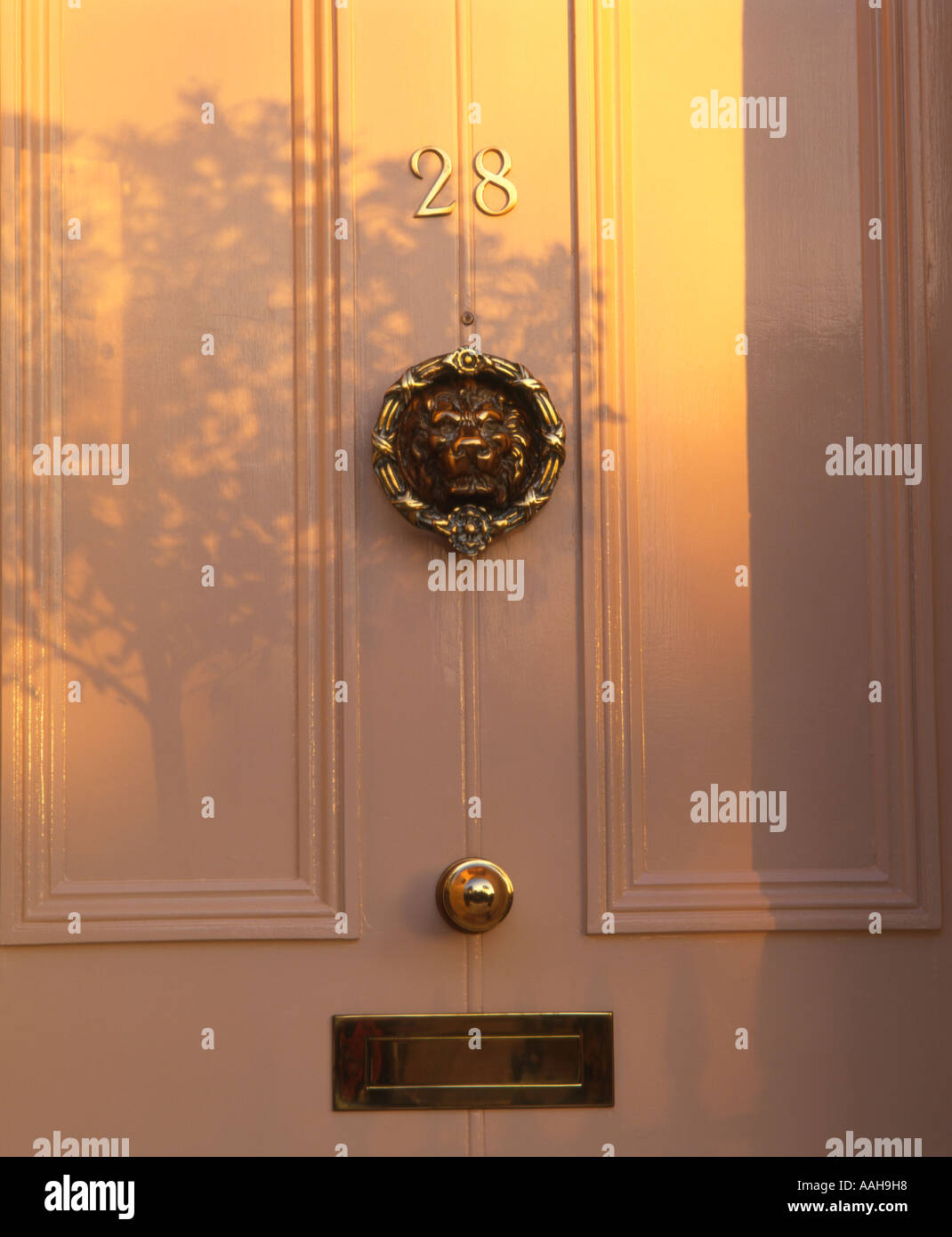 Classic Regency Style door Stock Photo - Alamy