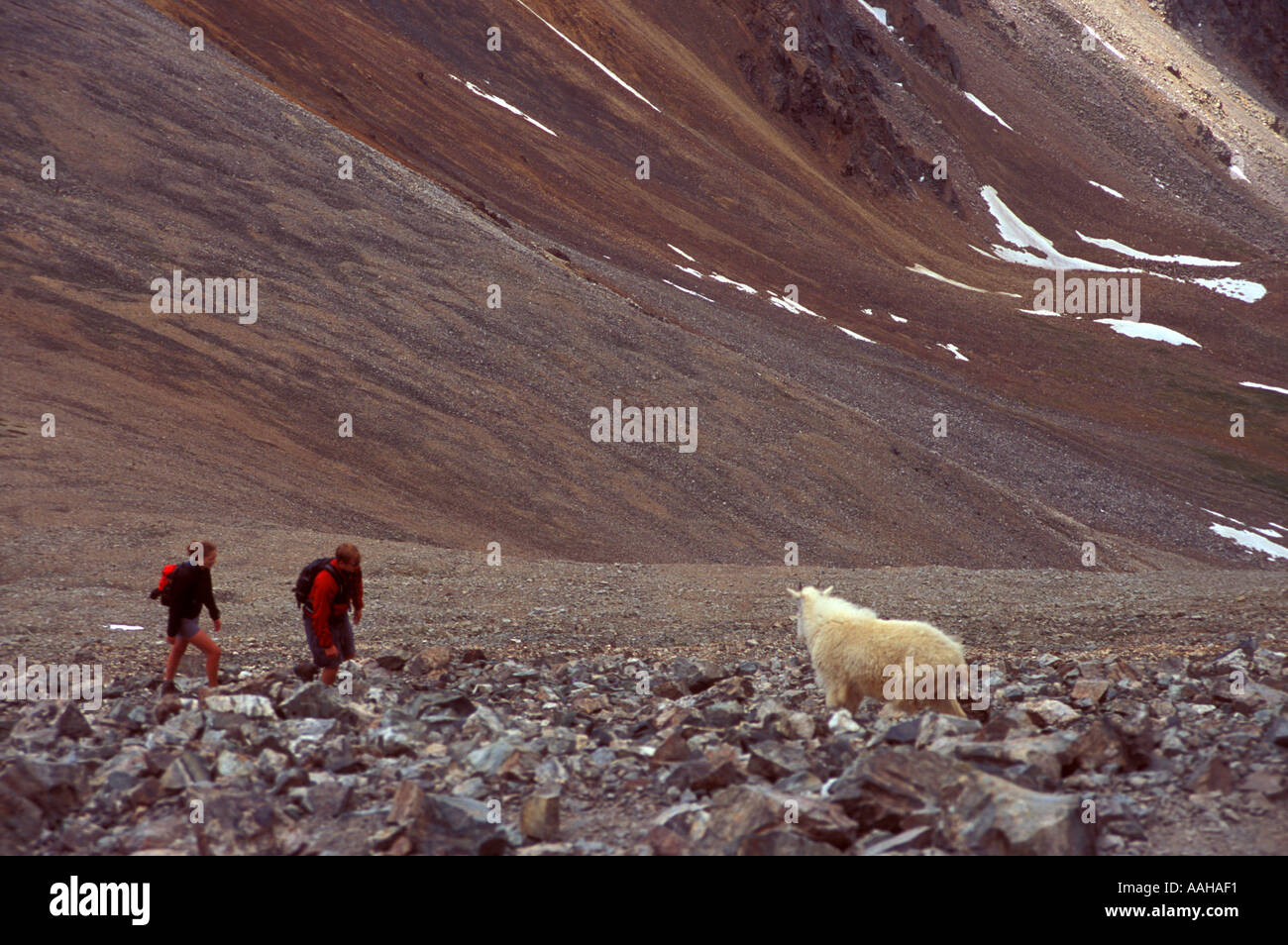 Mountain steep rocky slope hi-res stock photography and images - Alamy