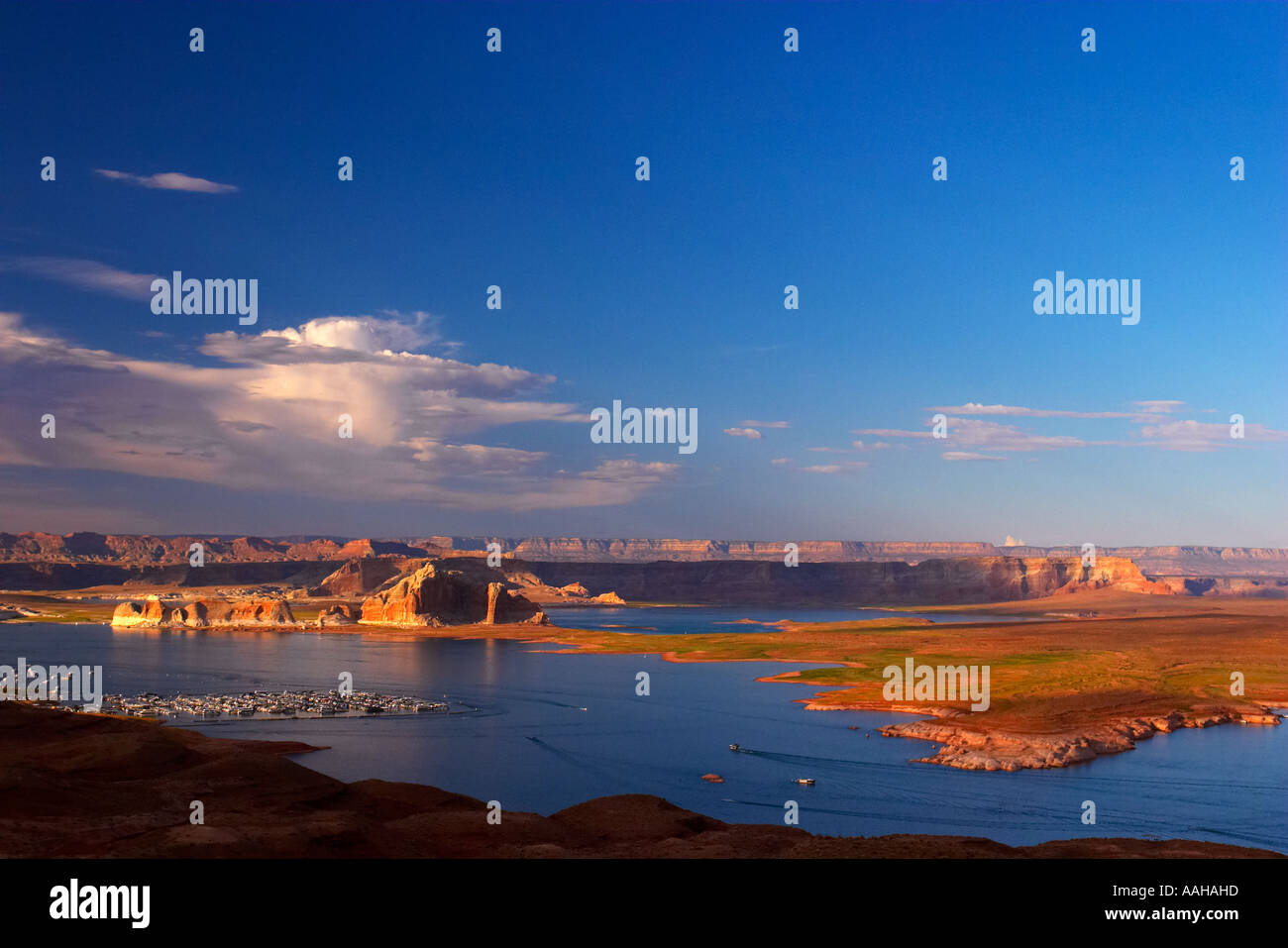 The beautiful Lake Powell National Park Arizona USA Stock Photo - Alamy