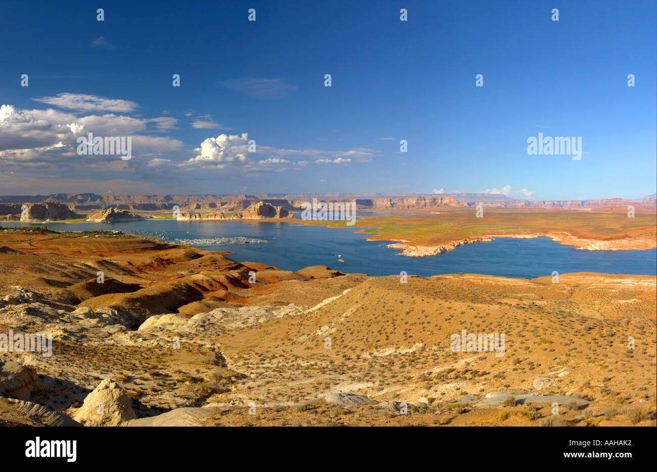 The beautiful Lake Powell National Park Arizona USA Stock Photo - Alamy