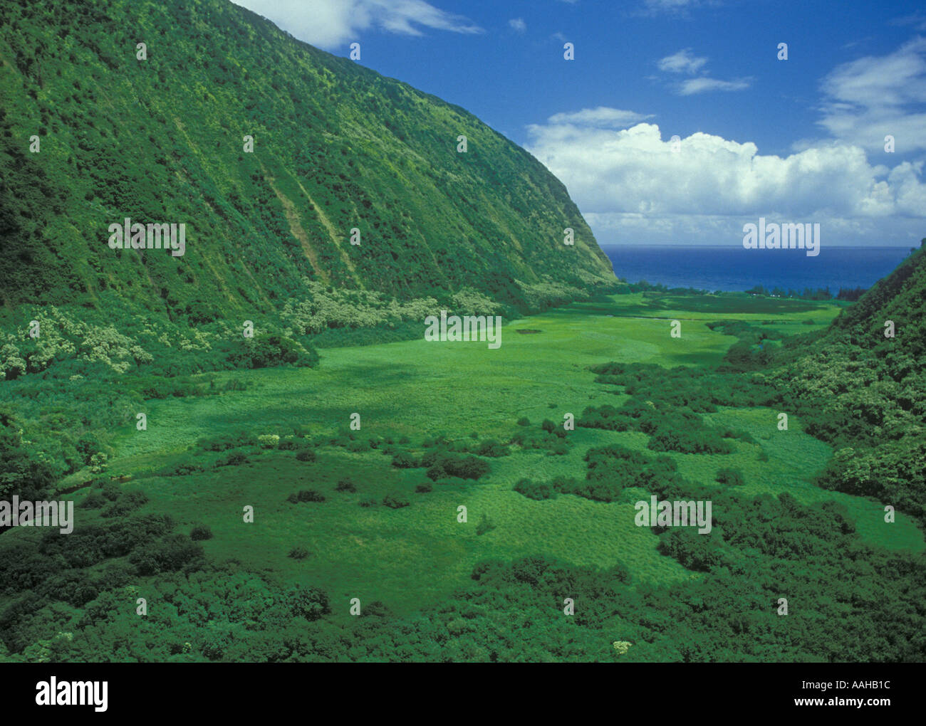 14362533 hi-res stock photography and images - Alamy