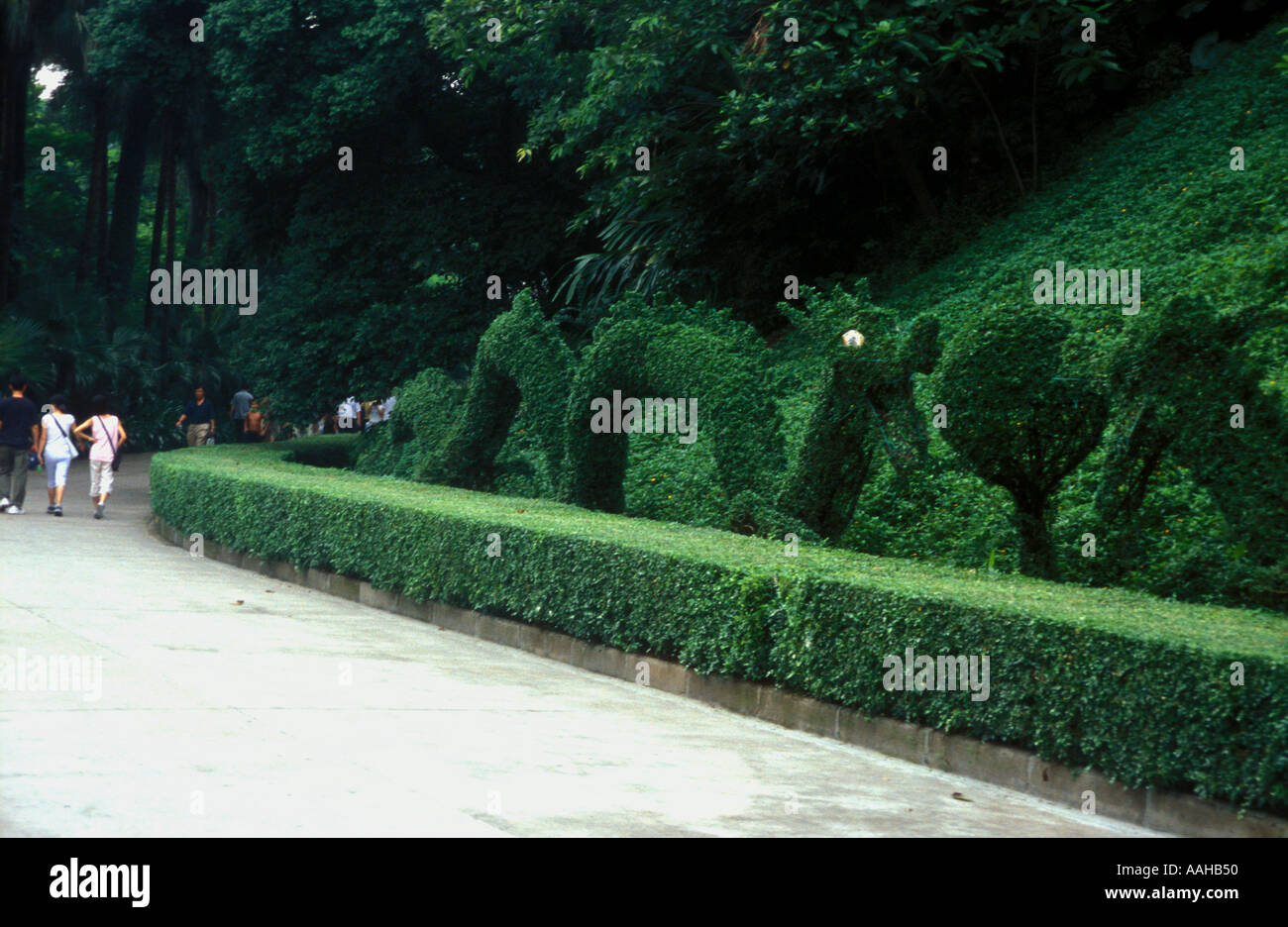 Dragon hedge trimming in mainland Chna city park Guangzhou China Stock ...