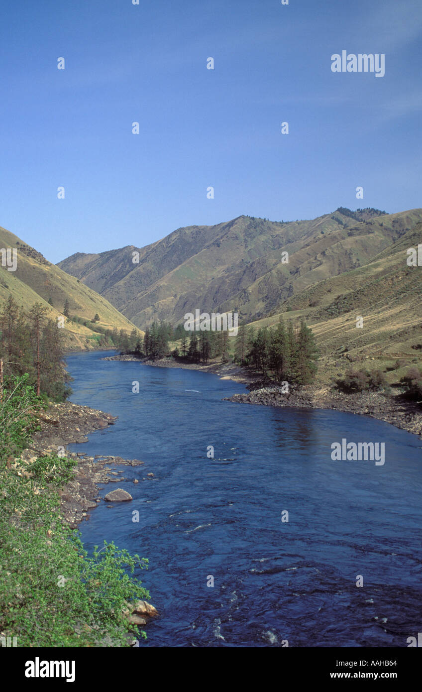 Salmon River Nez Perce National Forest Idaho USA Stock Photo - Alamy
