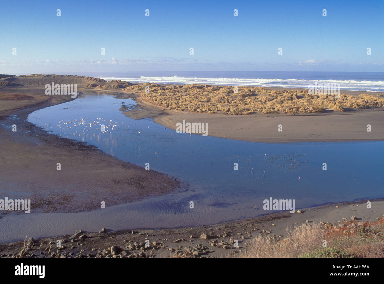 81141812 hi-res stock photography and images - Alamy