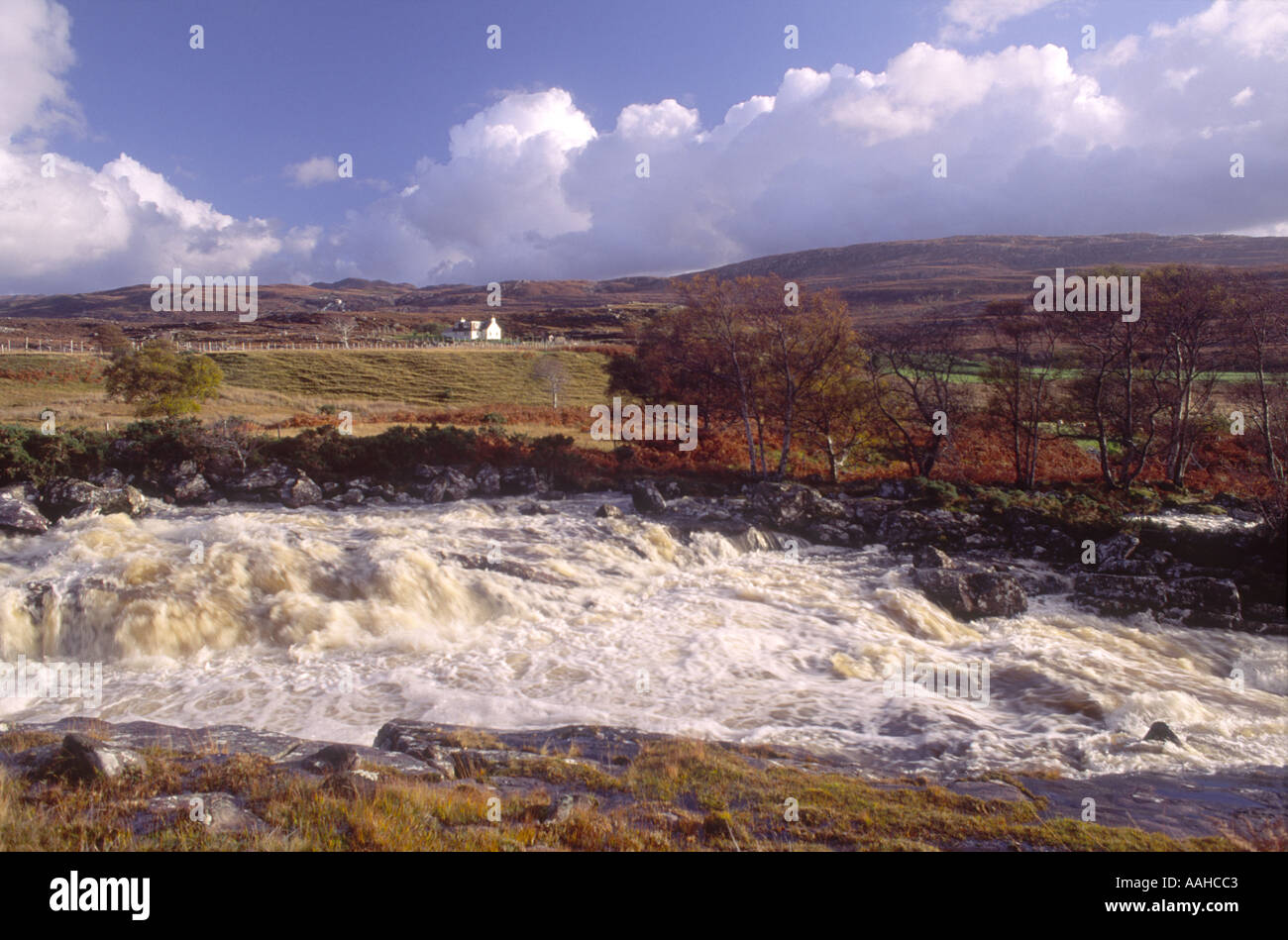 River in Flood Scotland Stock Photo - Alamy