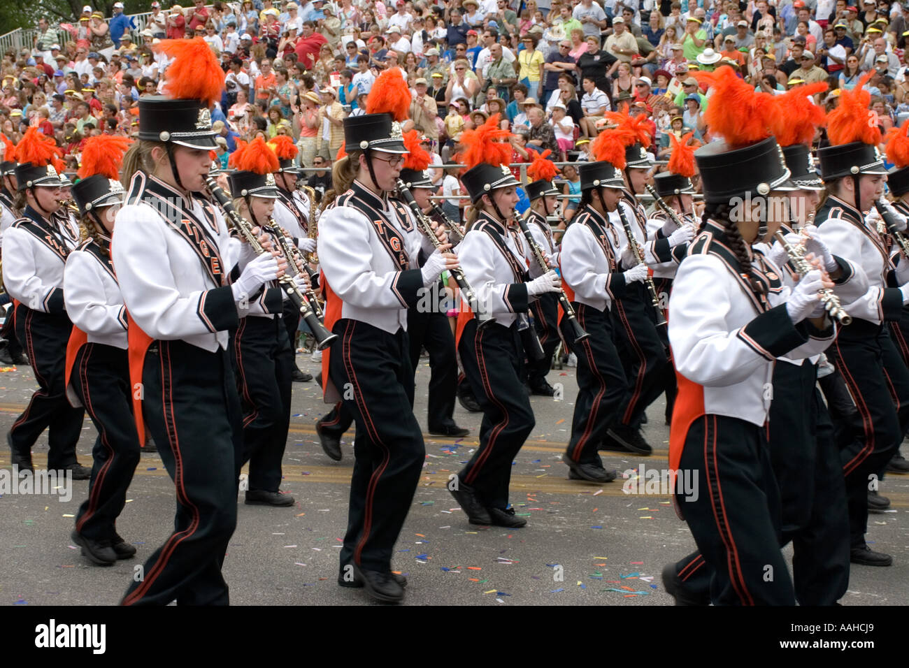 Tiger marching band hi-res stock photography and images - Alamy