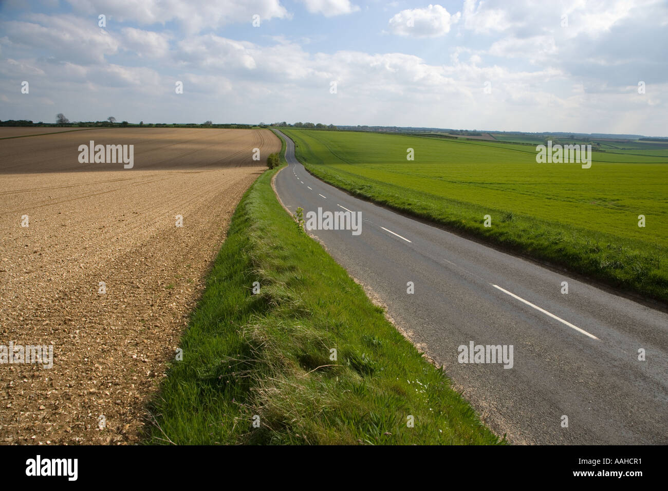 Country Road Norfolk UK May Stock Photo - Alamy